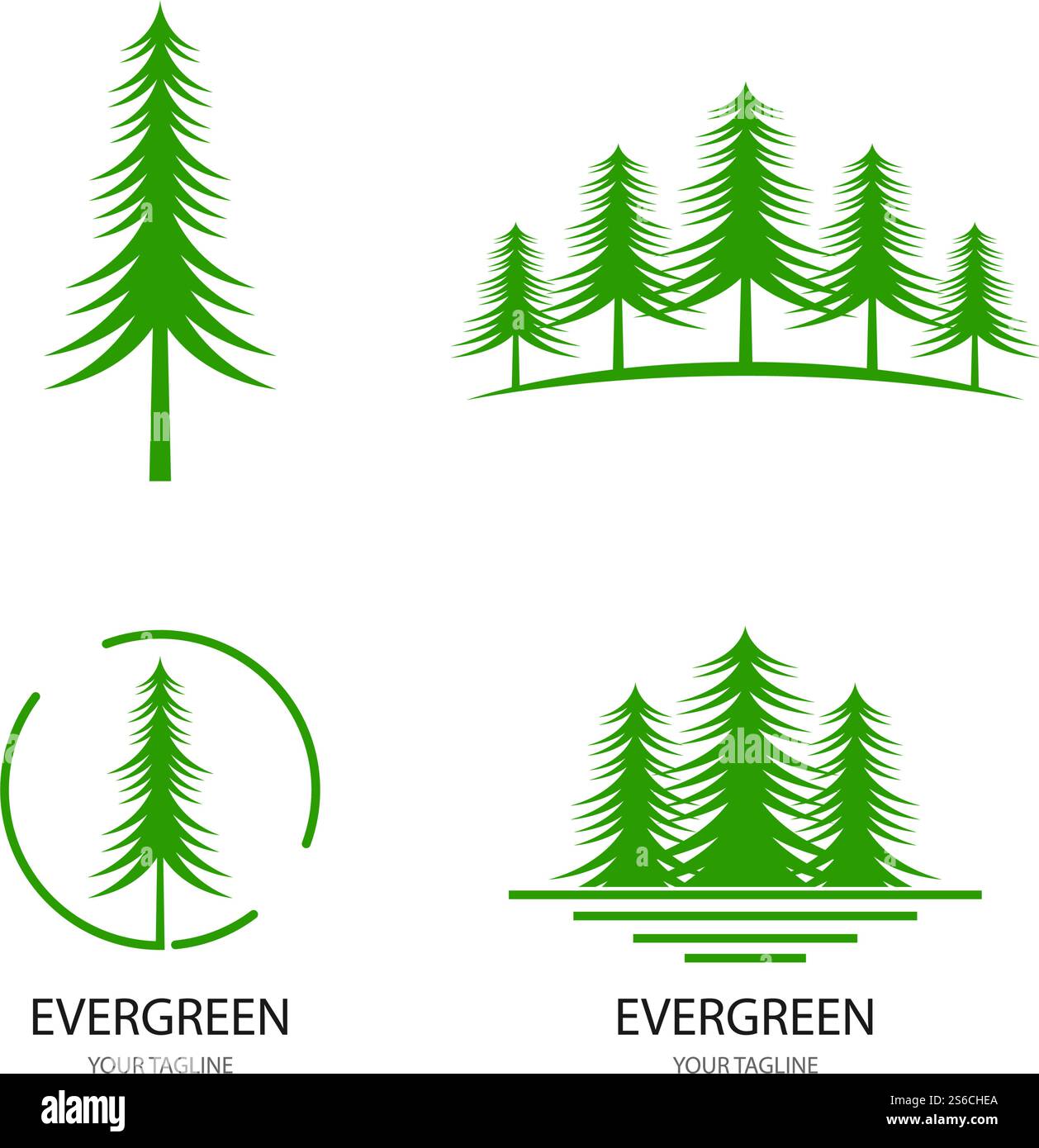 Cedar tree illustration logo template Stock Vector Image & Art - Alamy