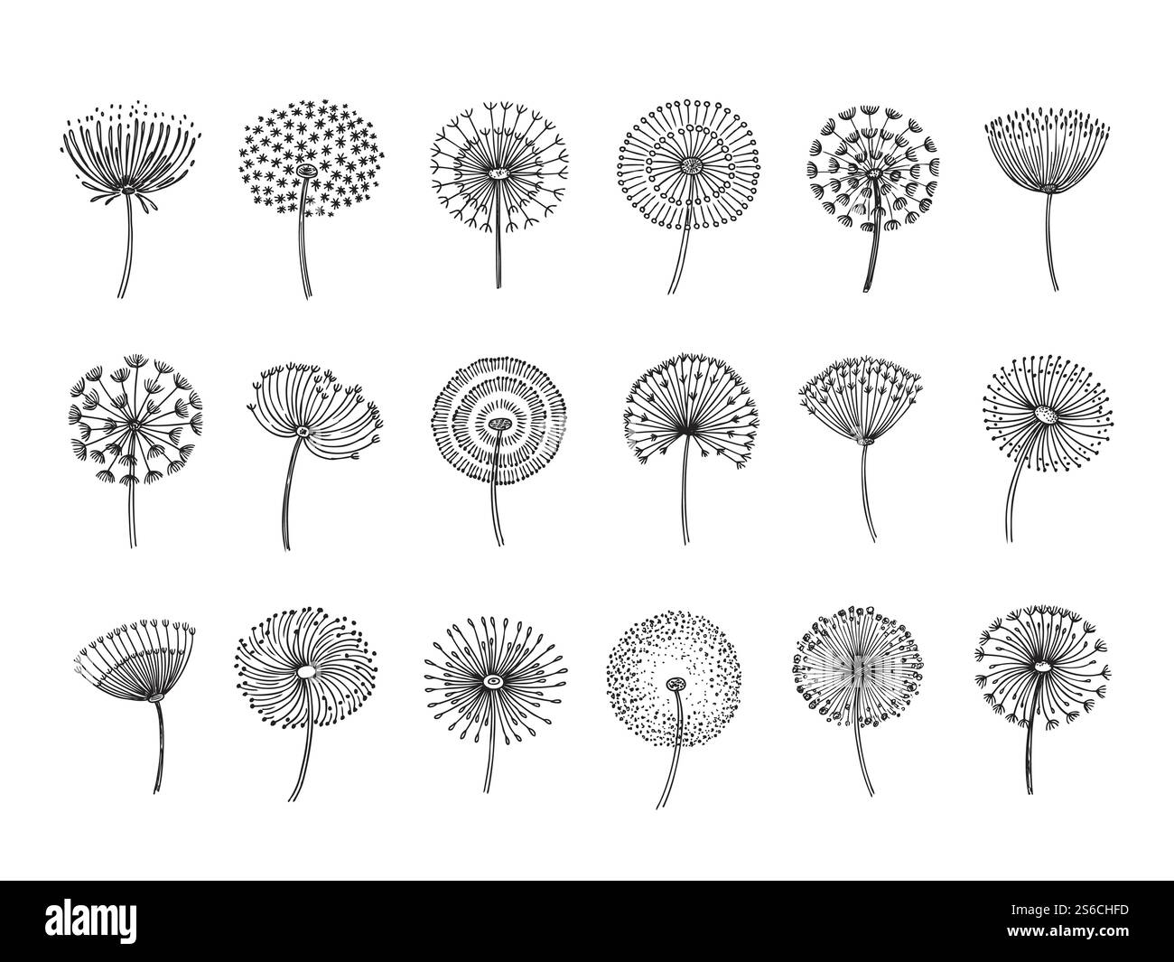 Dandelion set. Doodle hand drawn dandelions monstera delicate plant ...