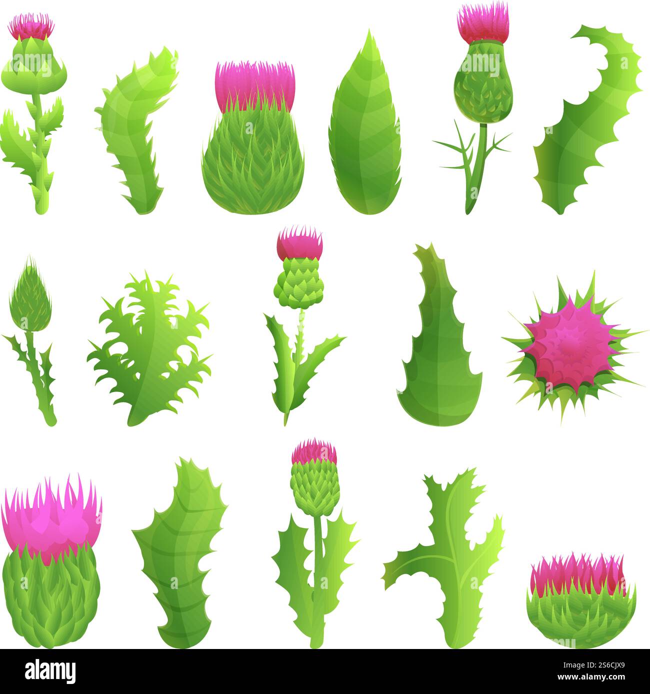 Thistle icons set. Cartoon set of thistle vector icons for web design ...
