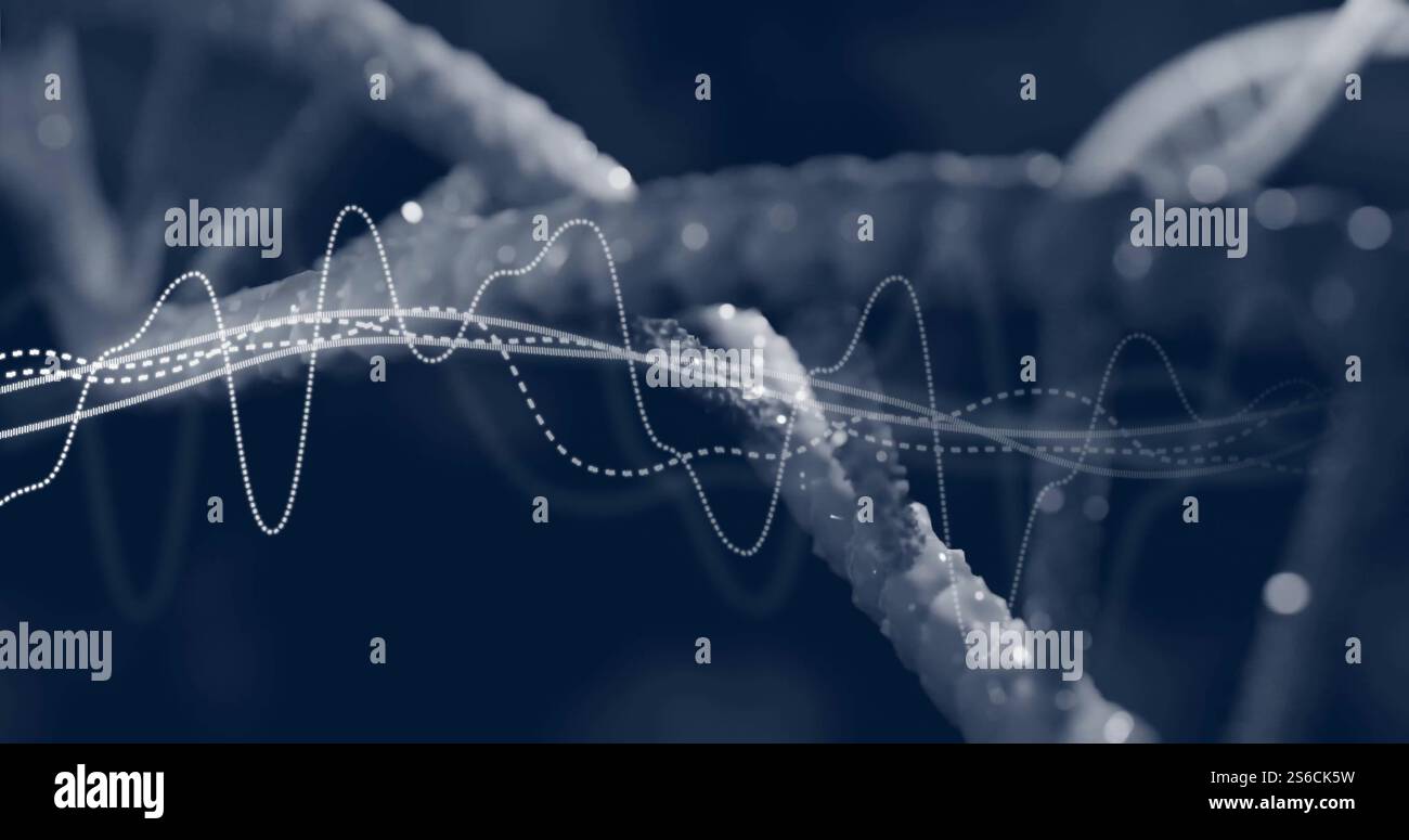 Image of diagrams over dna strand Stock Photo - Alamy