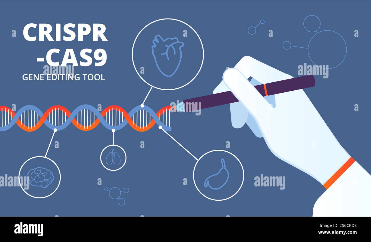 Crispr concept. Cas9 dna and gene engineering biotechnology. Human ...