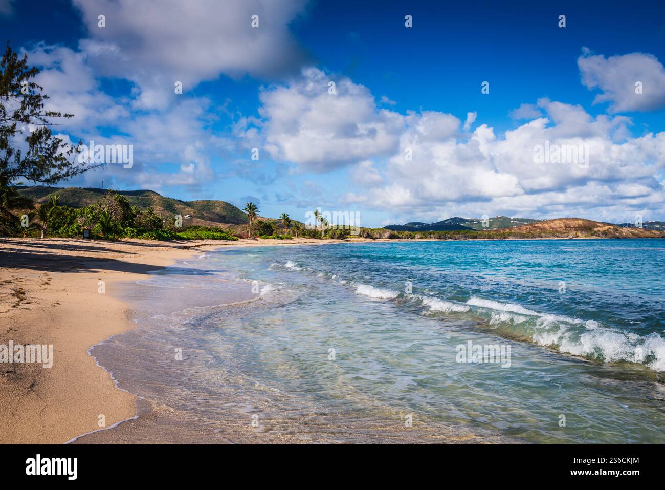 The private beach at The Buccaneer Hotel in St Croix Virign Islands ...