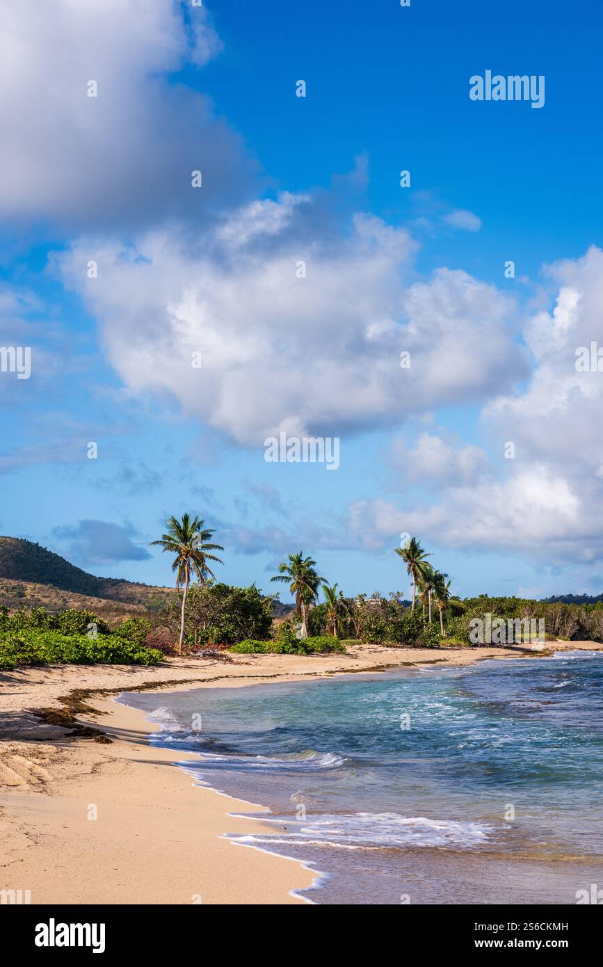 The private beach at The Buccaneer Hotel in St Croix Virign Islands ...