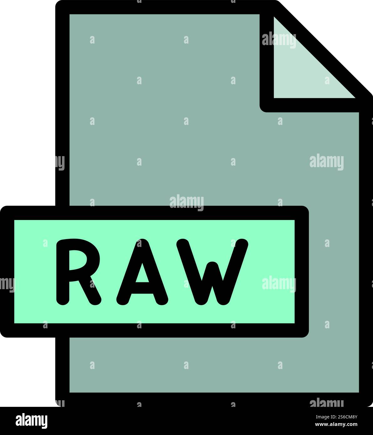 Raw file icon. Outline raw file vector icon for web design isolated on ...