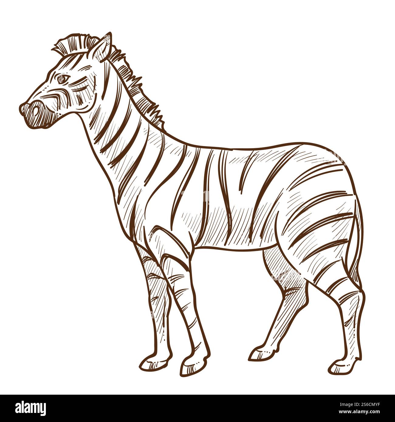 Zebra isolated sketch, African savannah wild animal, striped skin ...