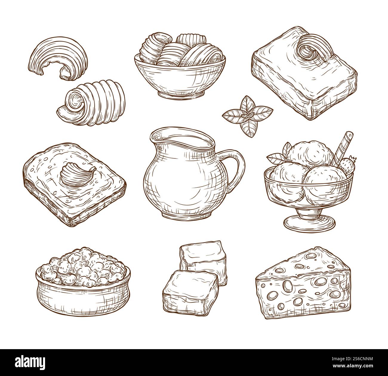 Sketch dairy products. Milk fresh, cheddar cheese and farm curd ...