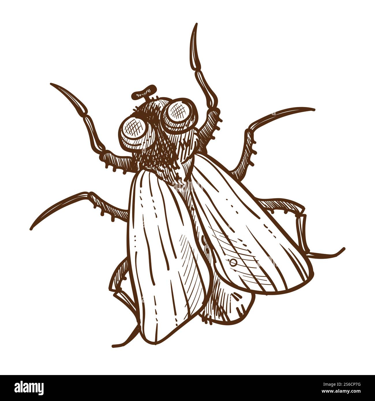 Tsetse fly bite Stock Vector Images - Alamy