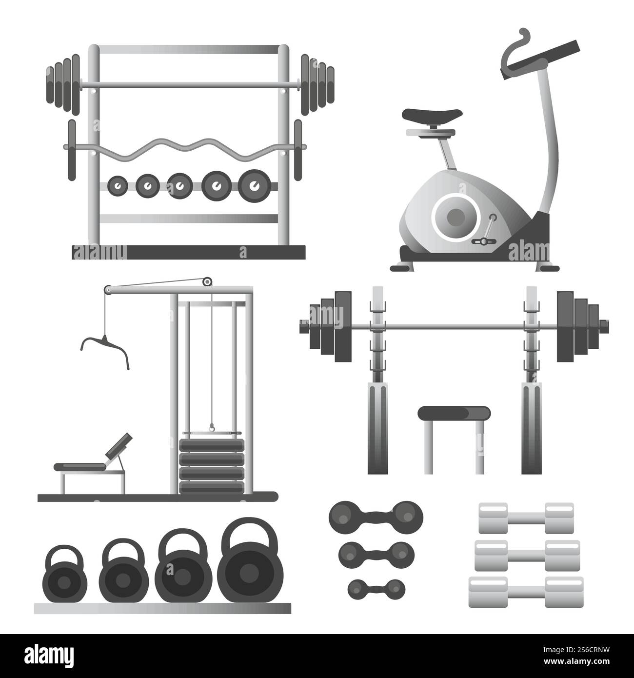 Training apparatus for gym, fitness workout equipment, weights and ...