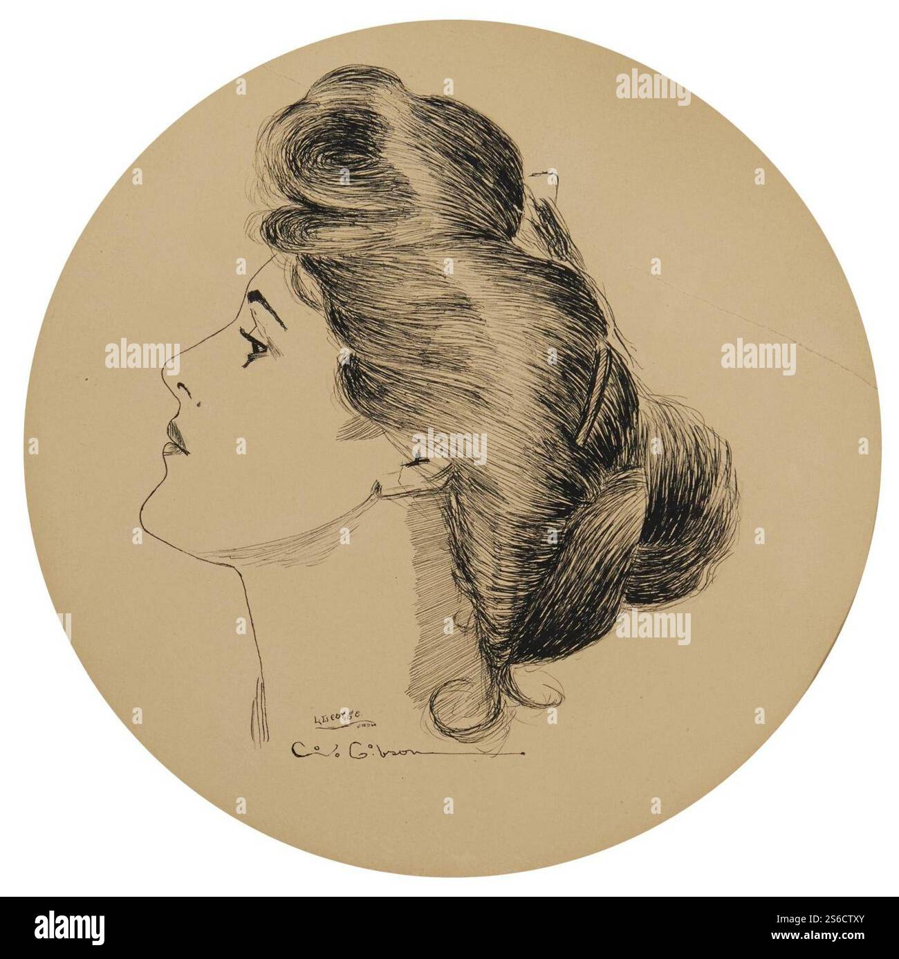 A Gibson Girl Portrait in profile by Charles Dana Gibson, ink on paper ...