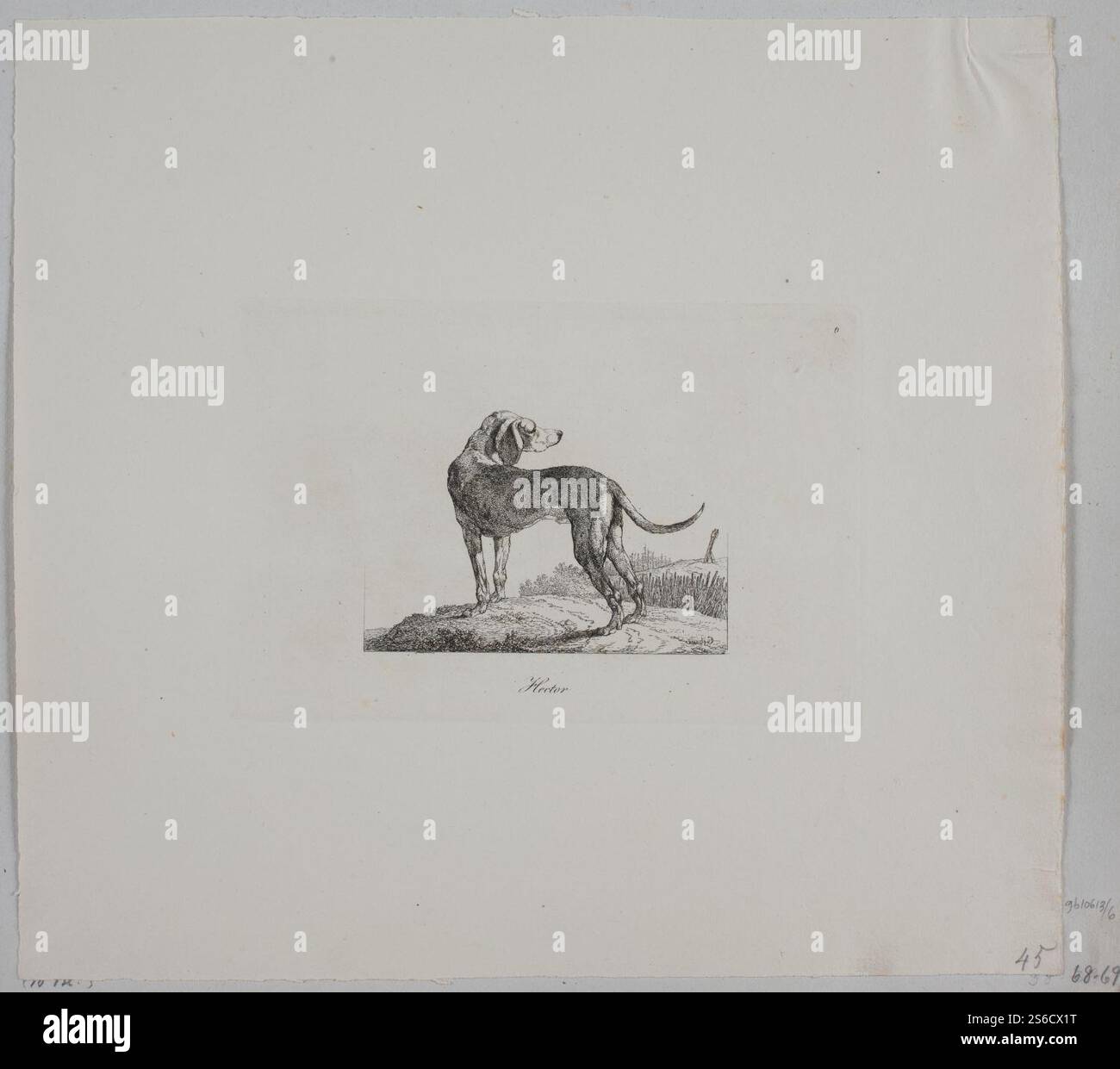 Christian David Gebauer, Hector, 1821 Stock Photo - Alamy