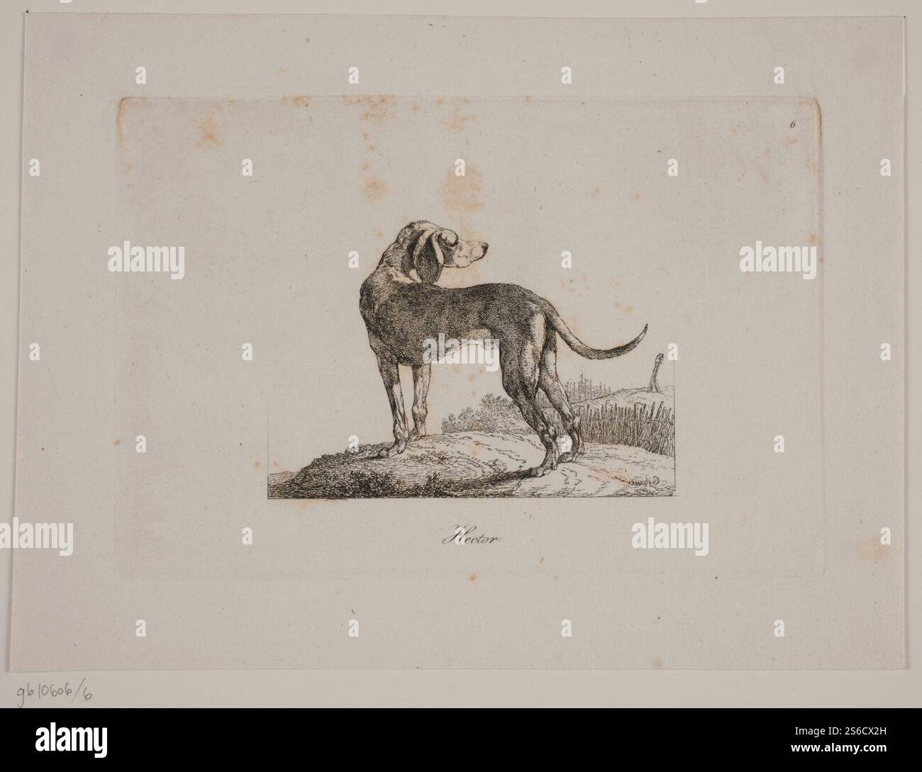 Christian David Gebauer, Hector, 1821 Stock Photo - Alamy
