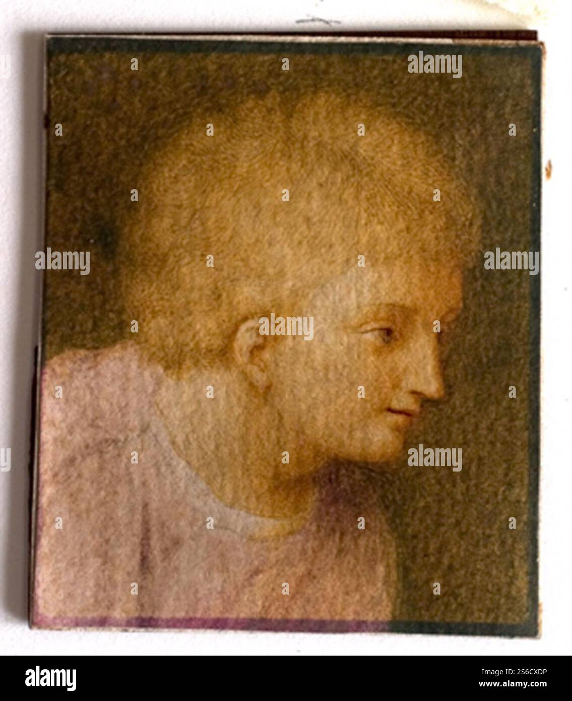 David Gardelle, Idealt ynglingehoved Stock Photo - Alamy