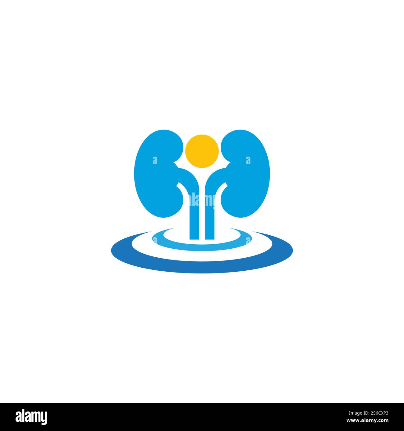 kidney vector illusrtation design logo template Stock Vector Image ...