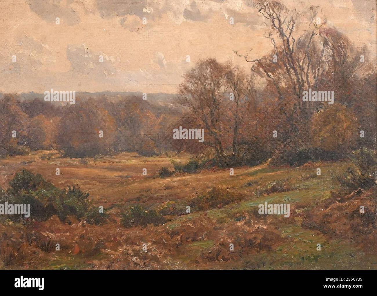 Frederick golden short hi-res stock photography and images - Alamy