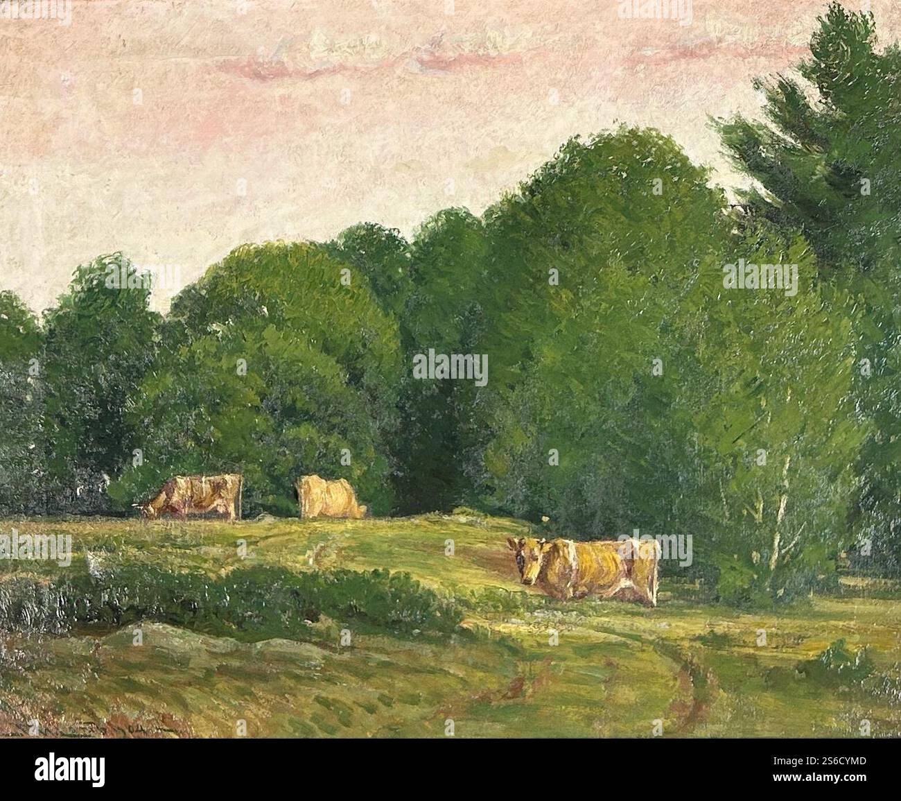 Frederick Mortimer Lamb - Grazing Cows, Oil on canvas, 16 x 20 Stock ...