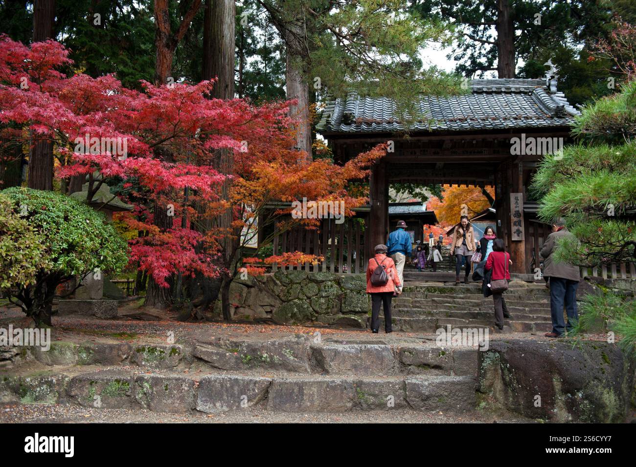 National Treasure Saimyoji Temple, one of 3 Koto Sanzan temples east of ...