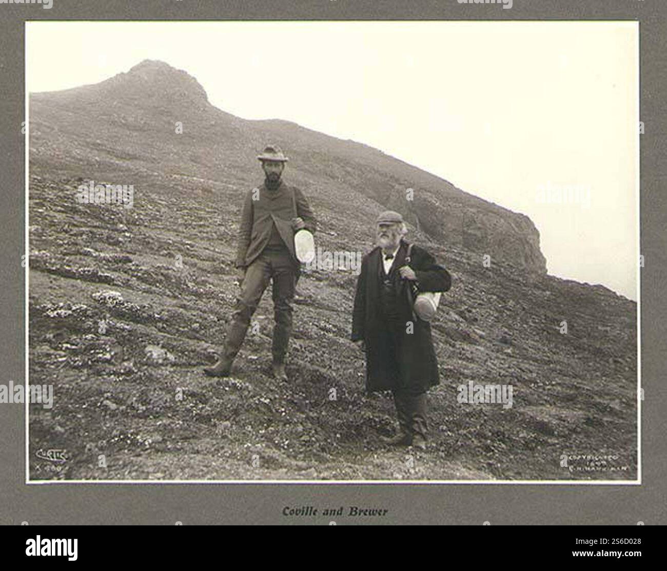 Frederick V Coville and Professor William H Brewer, probably on St Matthew Island, Alaska, July ...