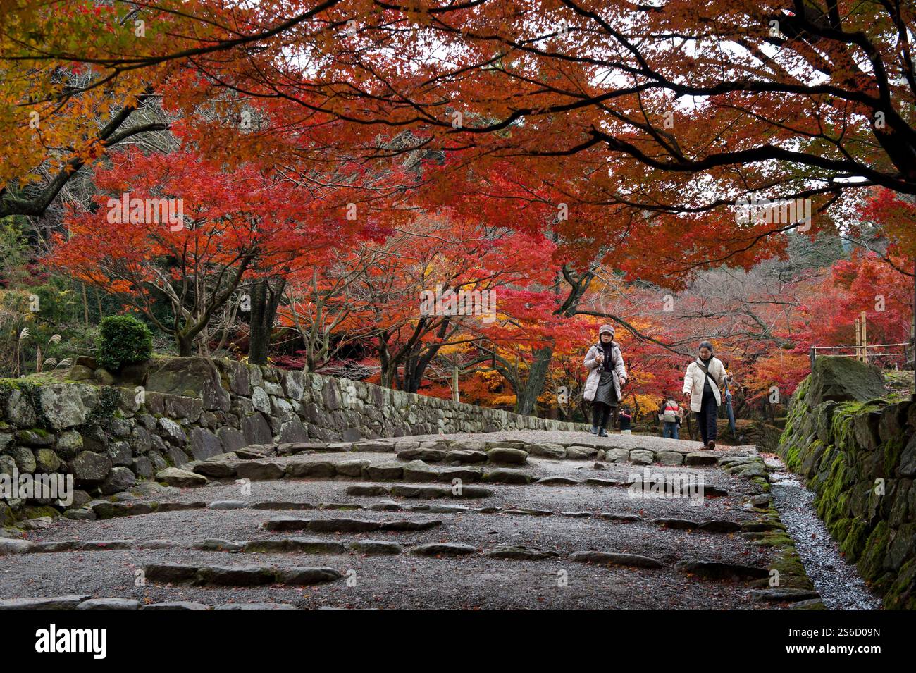 National Treasure Saimyoji Temple, one of 3 Koto Sanzan temples east of ...