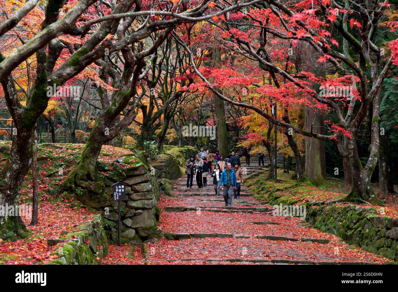 National Treasure Saimyoji Temple, one of 3 Koto Sanzan temples east of ...