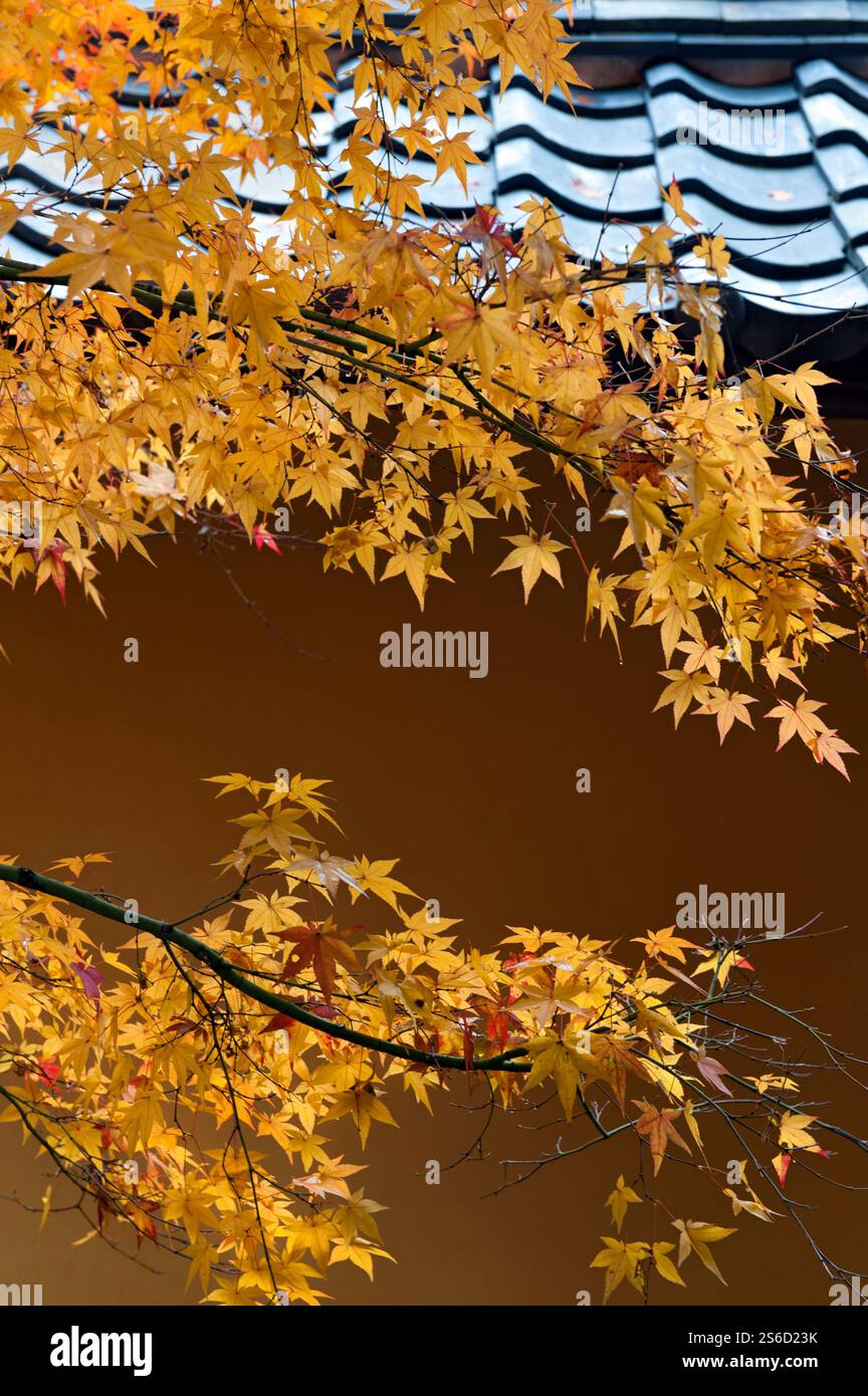 National Treasure Saimyoji Temple, one of 3 Koto Sanzan temples east of ...