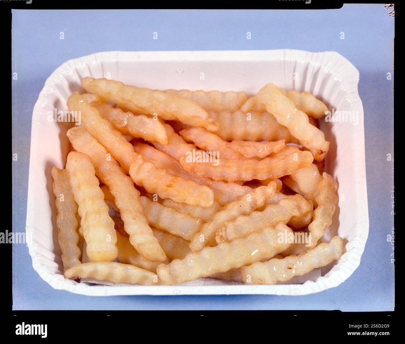 French fries, by the U.S. Army Natick Soldier Systems Center, 1977 ...
