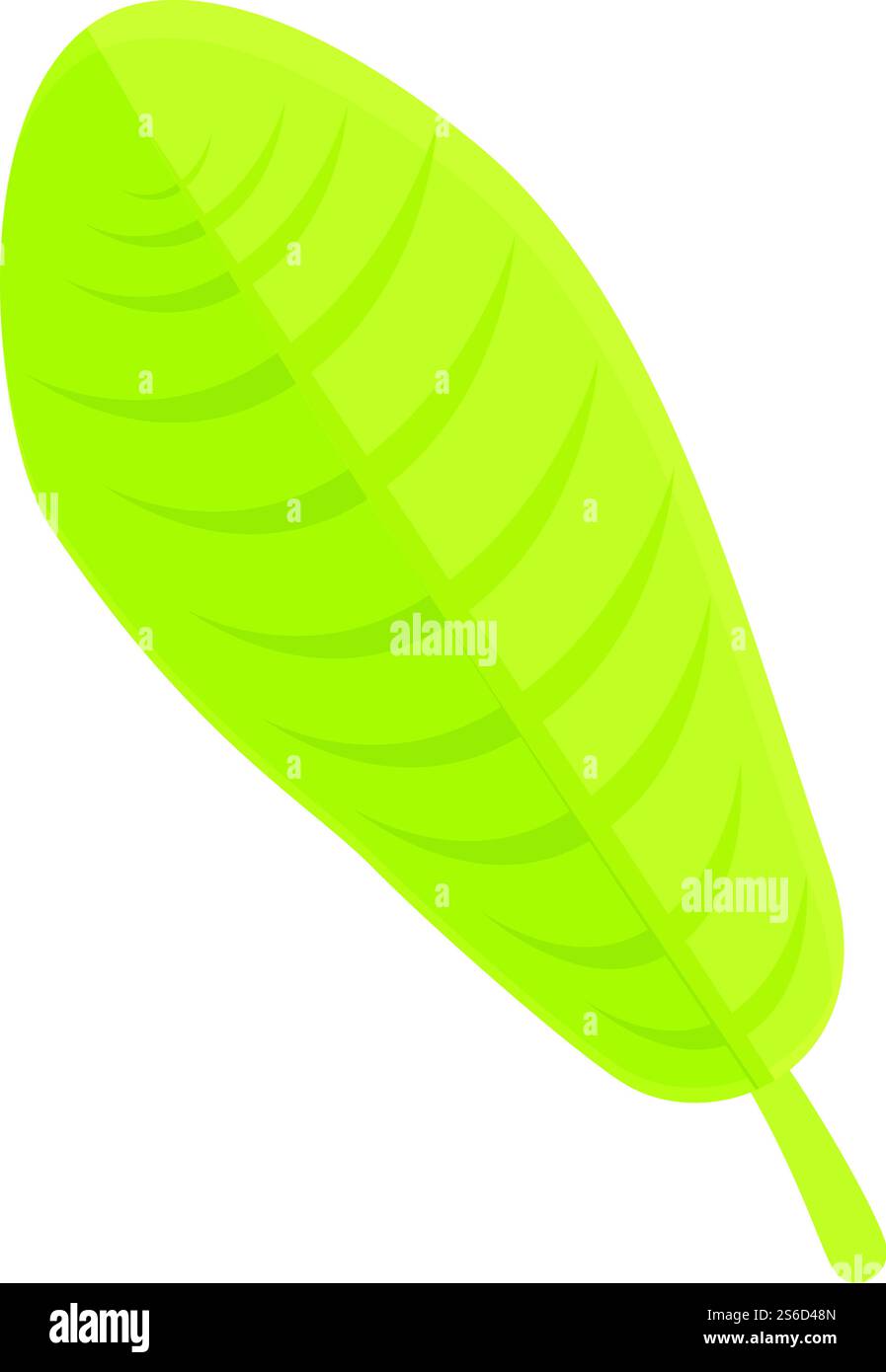 Chestnut leaf icon. Cartoon of chestnut leaf vector icon for web design ...
