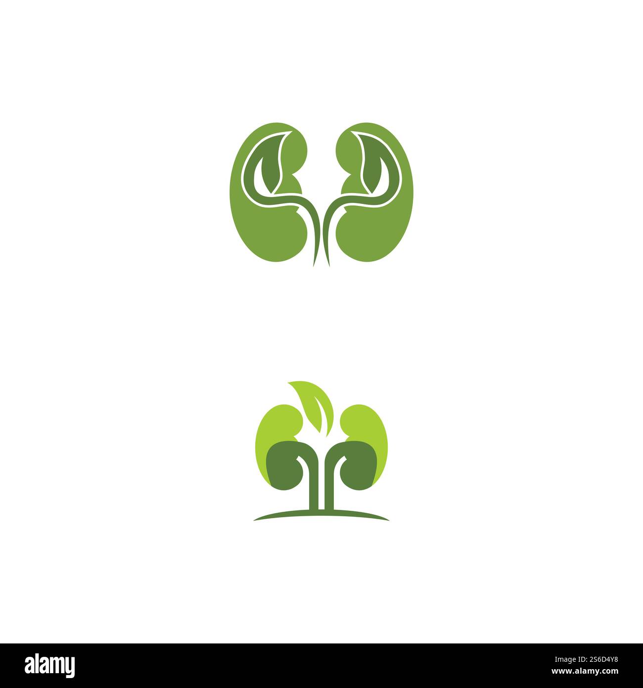 kidney vector illusrtation design logo template Stock Vector Image ...