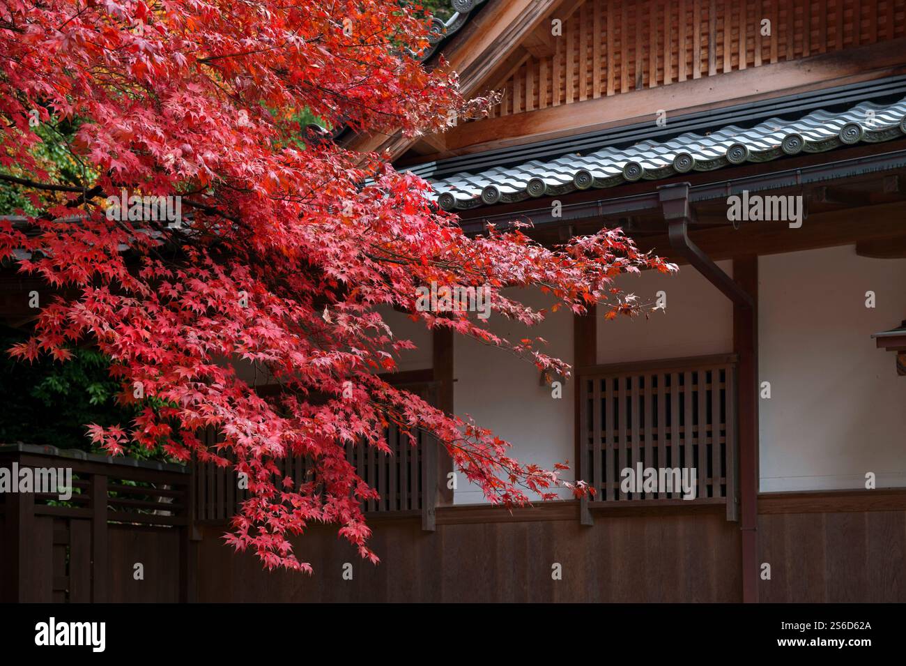 National Treasure Saimyoji Temple, one of 3 Koto Sanzan temples east of ...