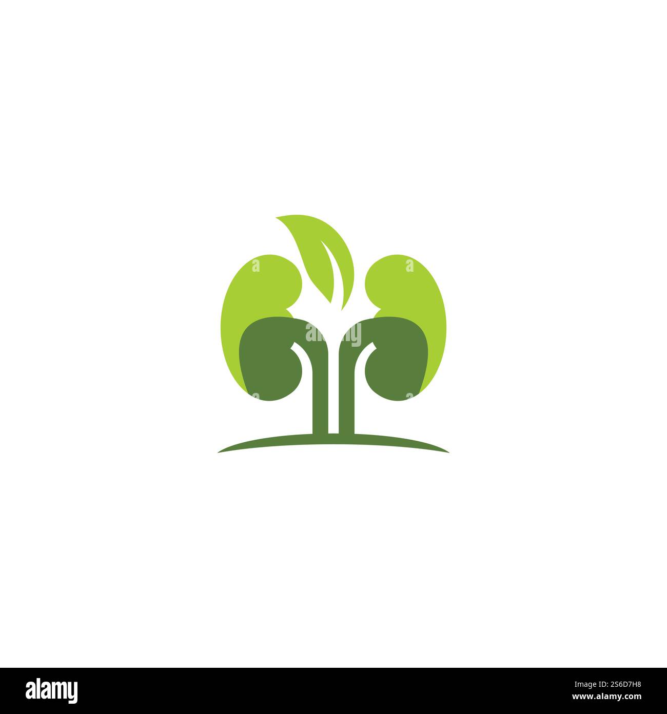 kidney vector illusrtation design logo template Stock Vector Image ...