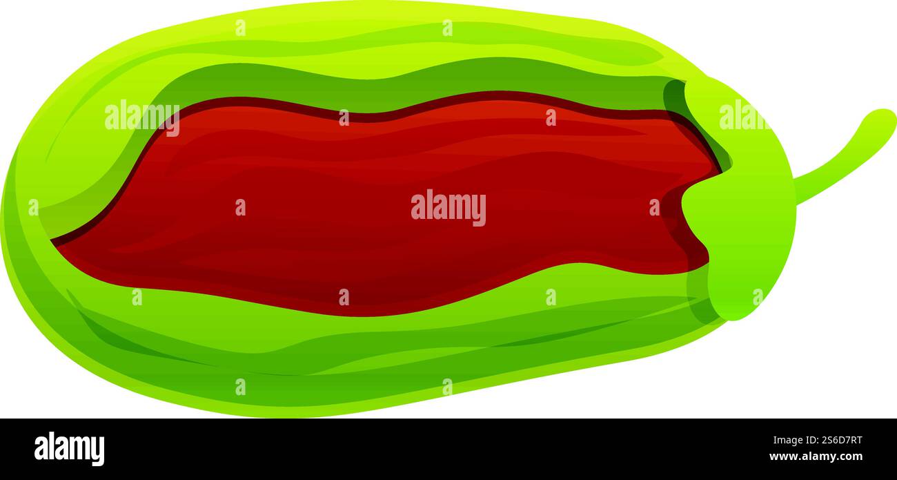 Jojoba tropical seed icon. Cartoon of jojoba tropical seed vector icon ...