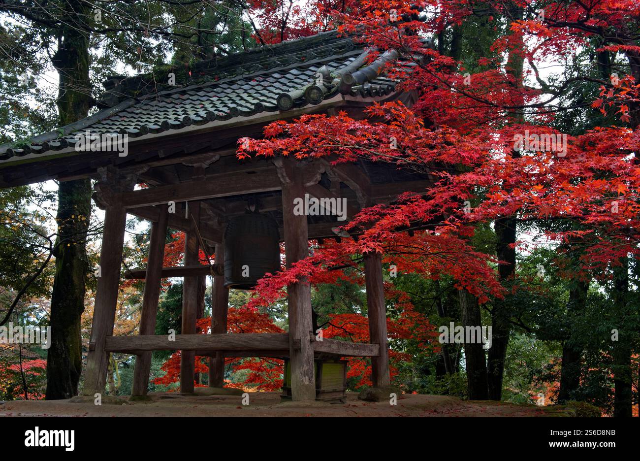 National Treasure Saimyoji Temple, one of 3 Koto Sanzan temples east of ...
