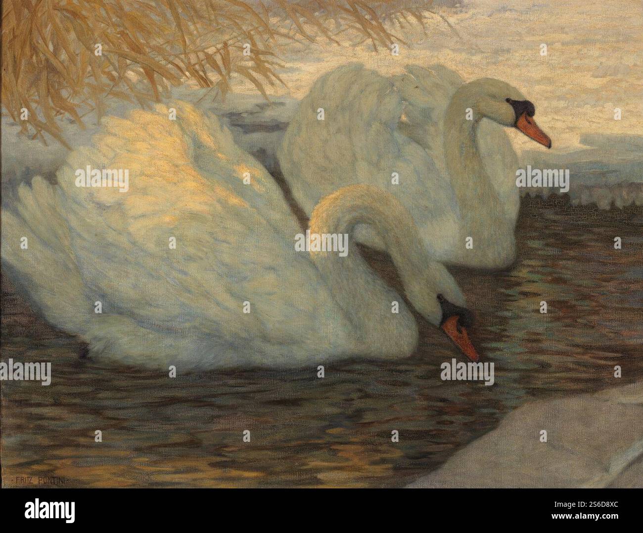 Fritz pontini hi-res stock photography and images - Alamy