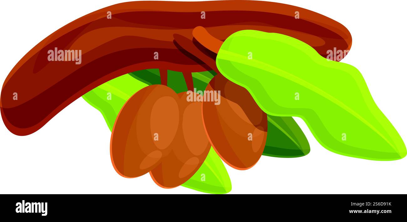 Shea tree wood branch icon. Cartoon of shea tree wood branch vector ...