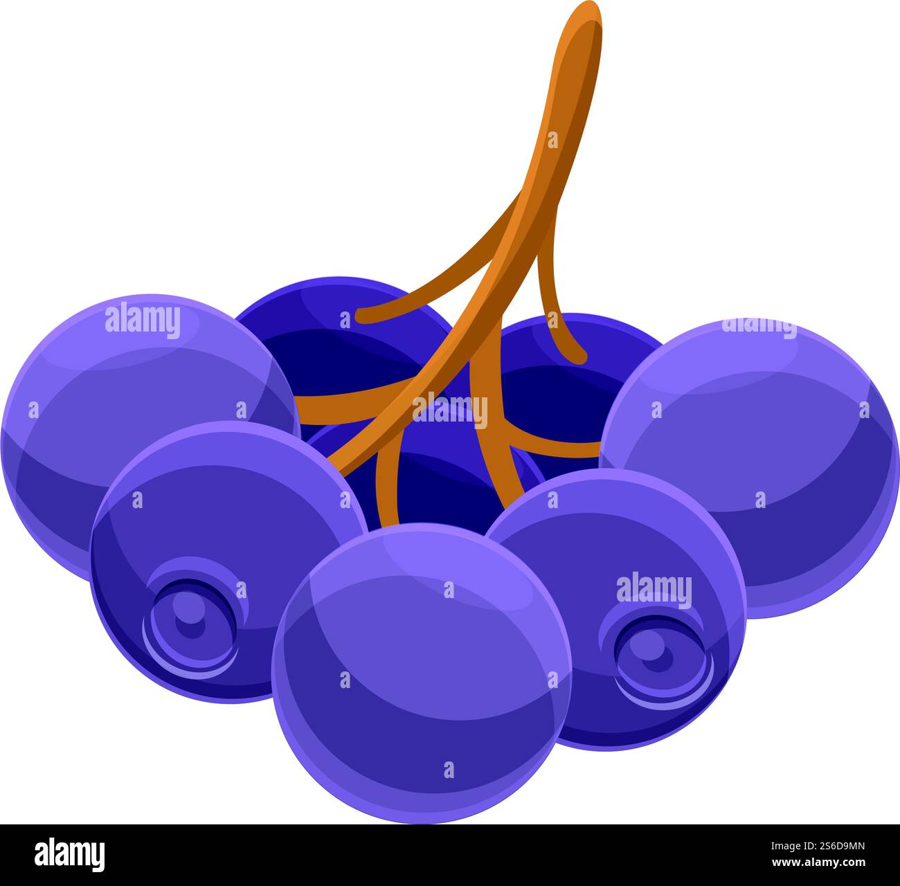 Eco elderberry icon. Cartoon of eco elderberry vector icon for web ...