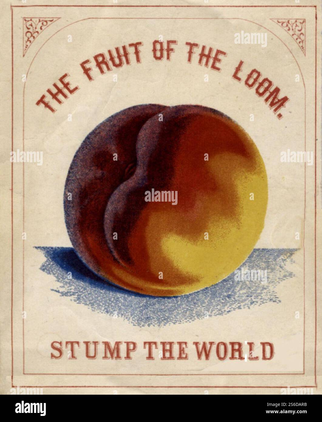 Fruit Of The Loom Bolt Label Stock Photo - Alamy