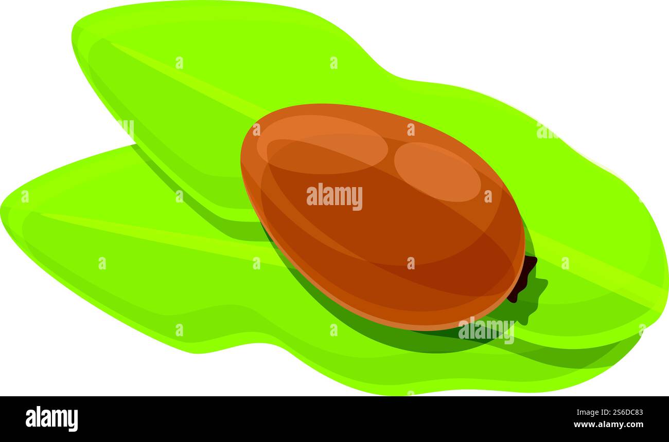 On leaf shea tree green nut icon. Cartoon of on leaf shea tree green ...