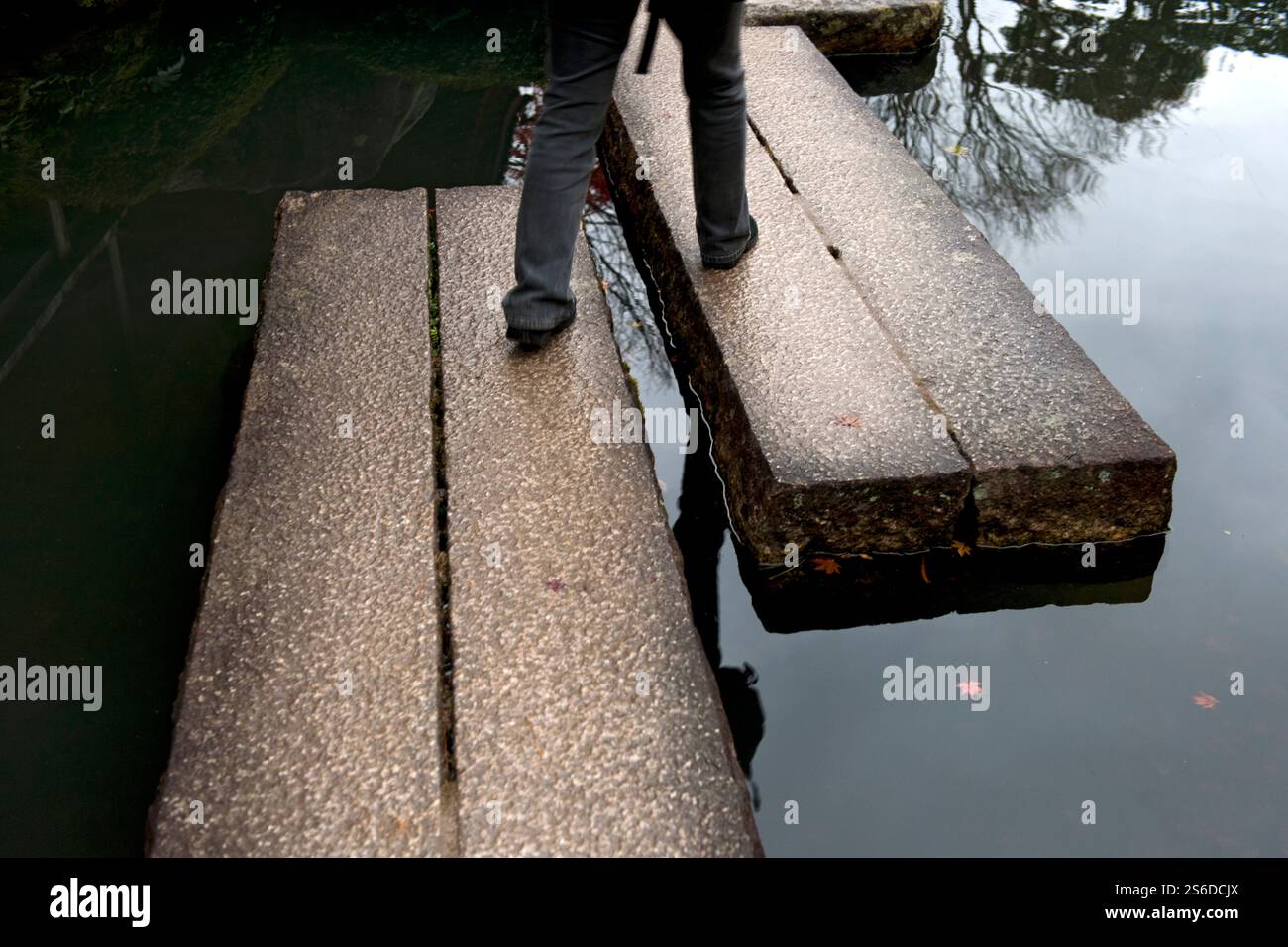 Stone walkway over pond at National Treasure Hyakusaiji Temple, one of ...