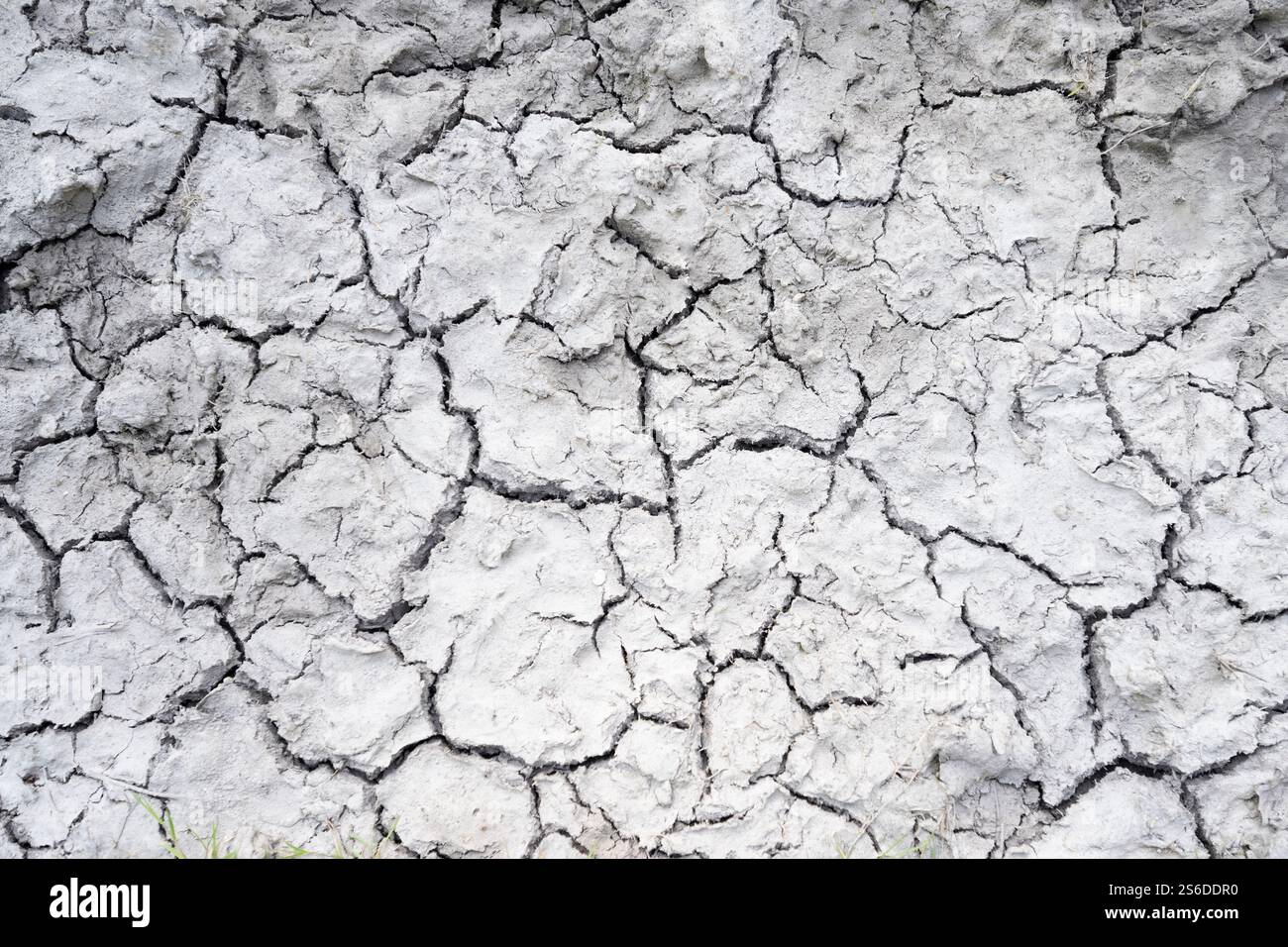 Environmental design projects hi-res stock photography and images - Alamy