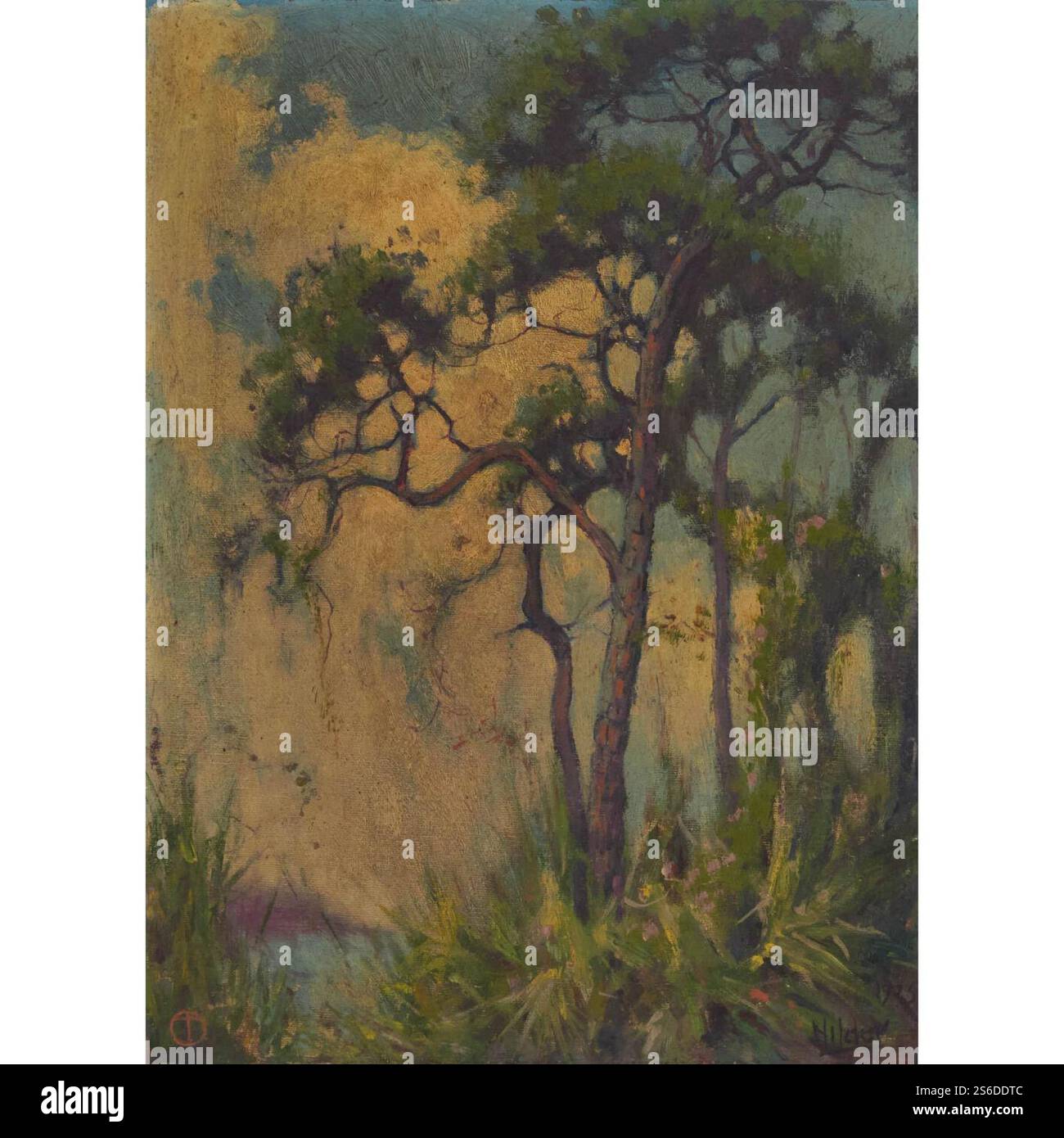 G. Howard Hilder - , American CARIBBEAN PINES NEAR CUTLER, FLORIDA ...