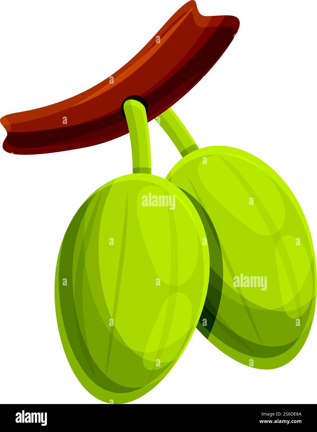 Cutted shea tree green nut icon. Cartoon of cutted shea tree green nut ...