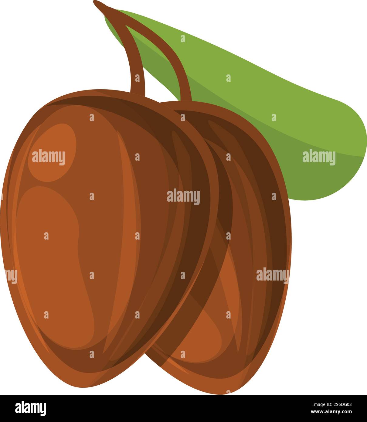 Shea tree nuts icon. Cartoon of shea tree nuts vector icon for web ...