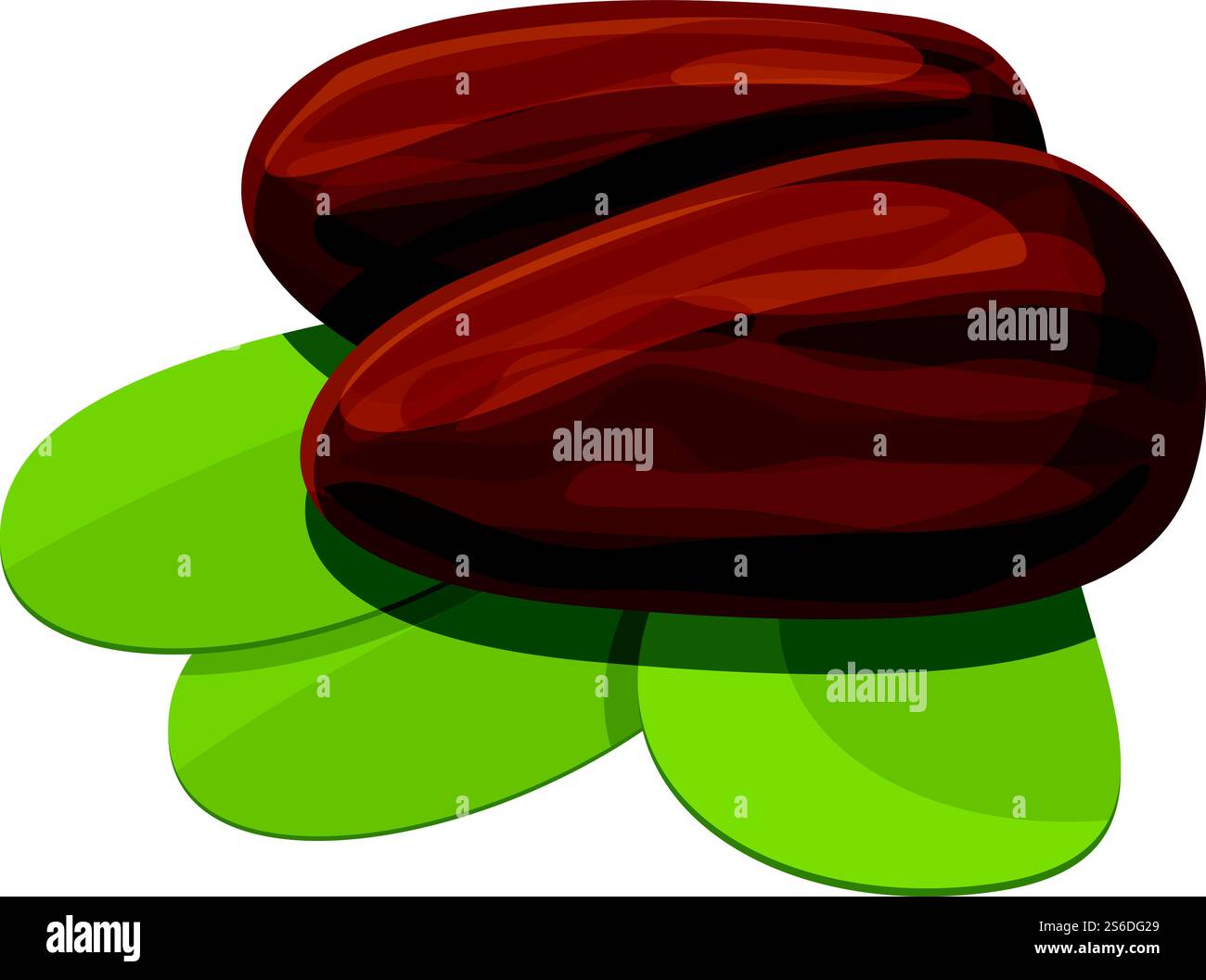 Shea tree nuts icon. Cartoon of shea tree nuts vector icon for web ...