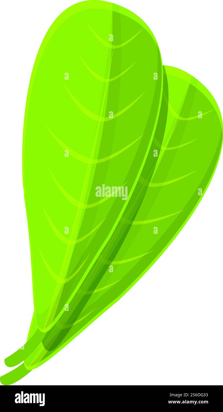 Shea tree leaf icon. Cartoon of shea tree leaf vector icon for web ...