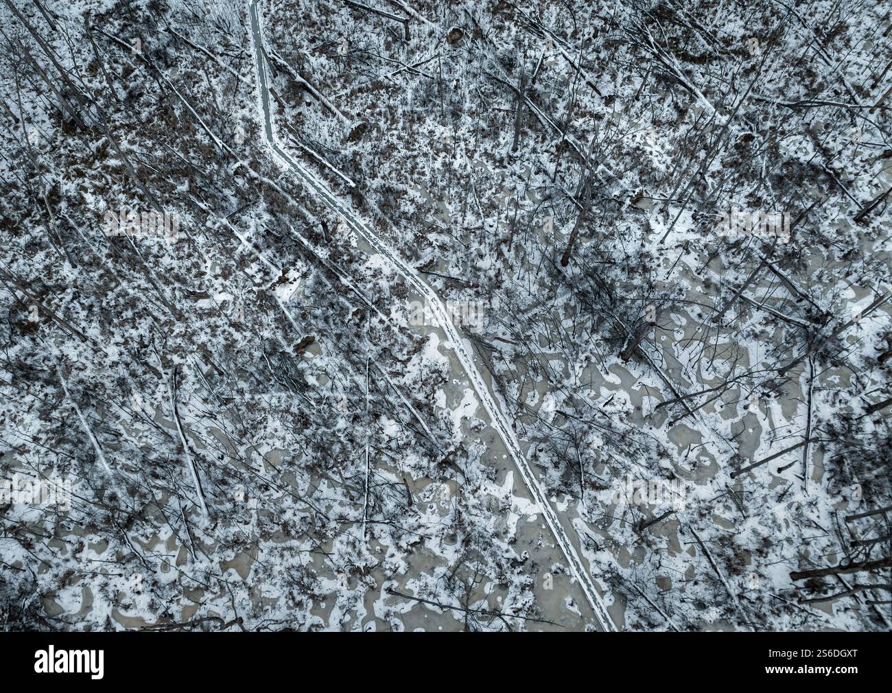Aerial view of a boardwalk trail through a frozen marsh in the winter ...