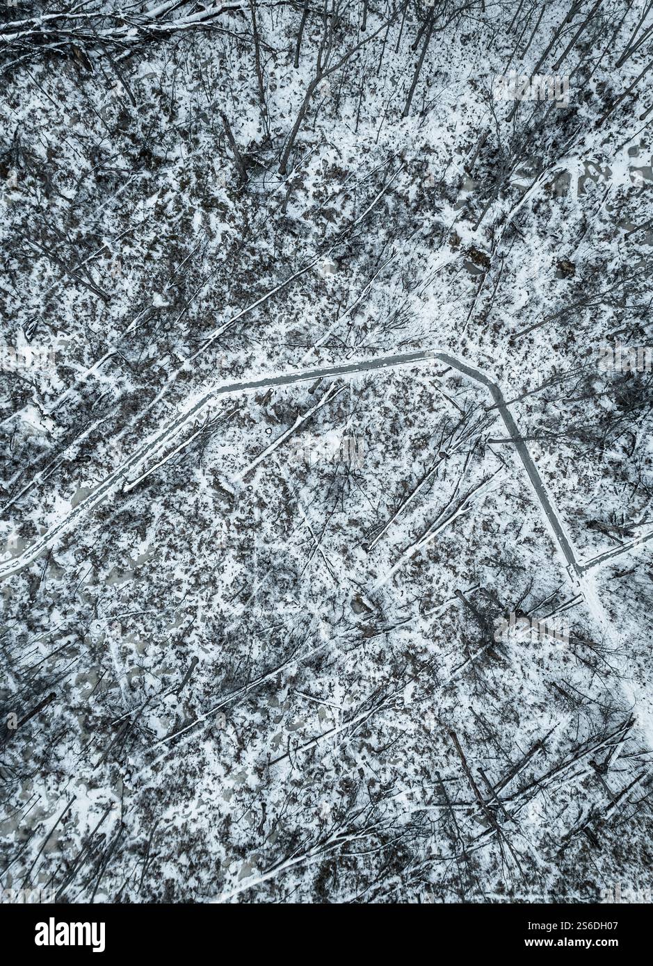 Aerial view of a boardwalk trail through a frozen marsh in the winter ...