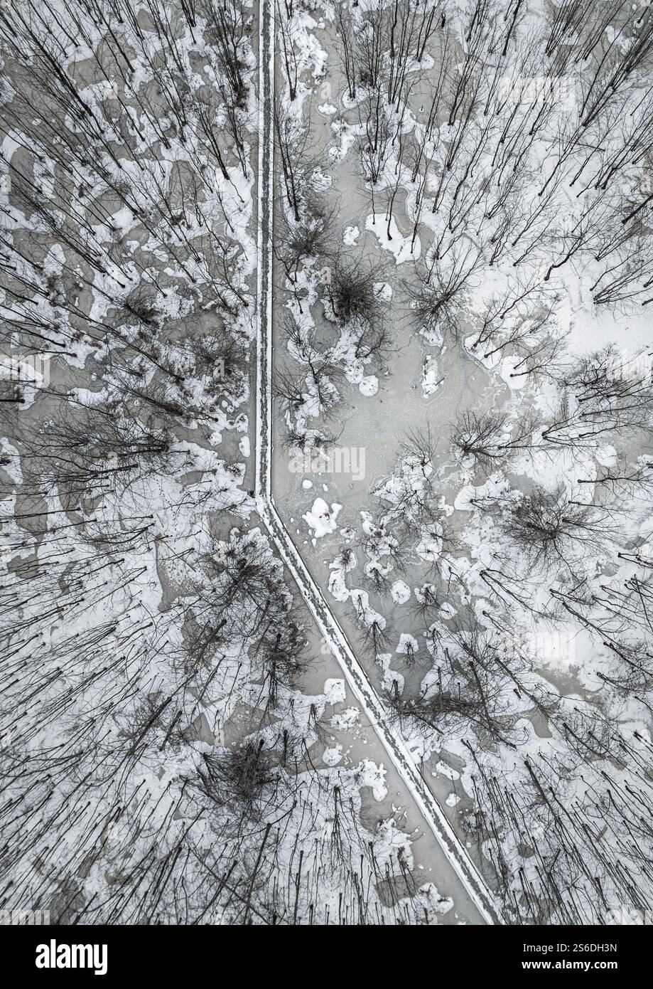 Aerial view of a boardwalk trail through a frozen marsh in the winter ...