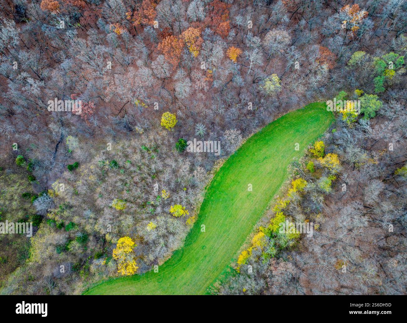 Aerial view of green grass by a forest, changing fall colors, November ...