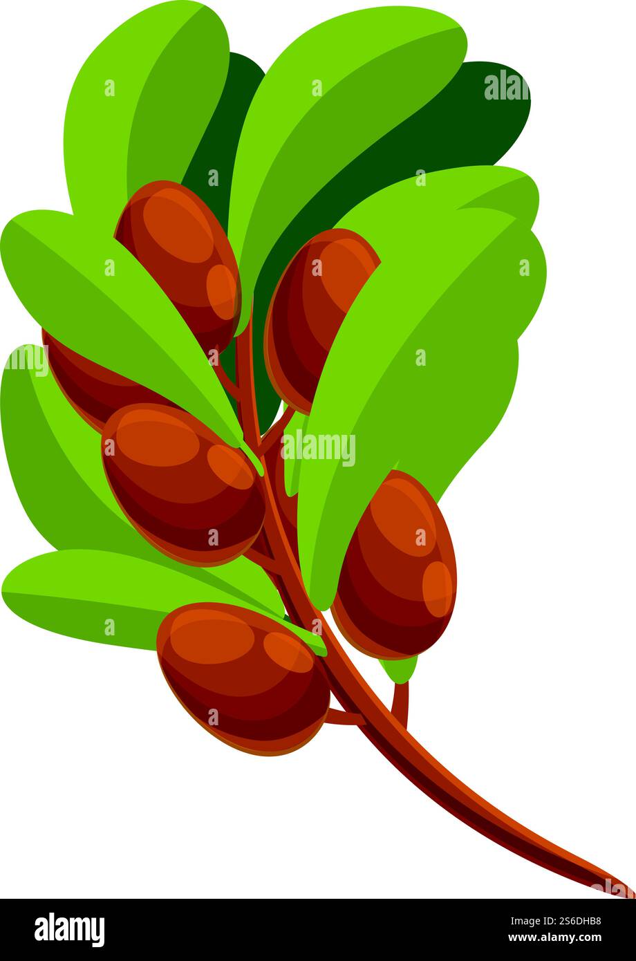 Shea tree branch icon. Cartoon of shea tree branch vector icon for web ...