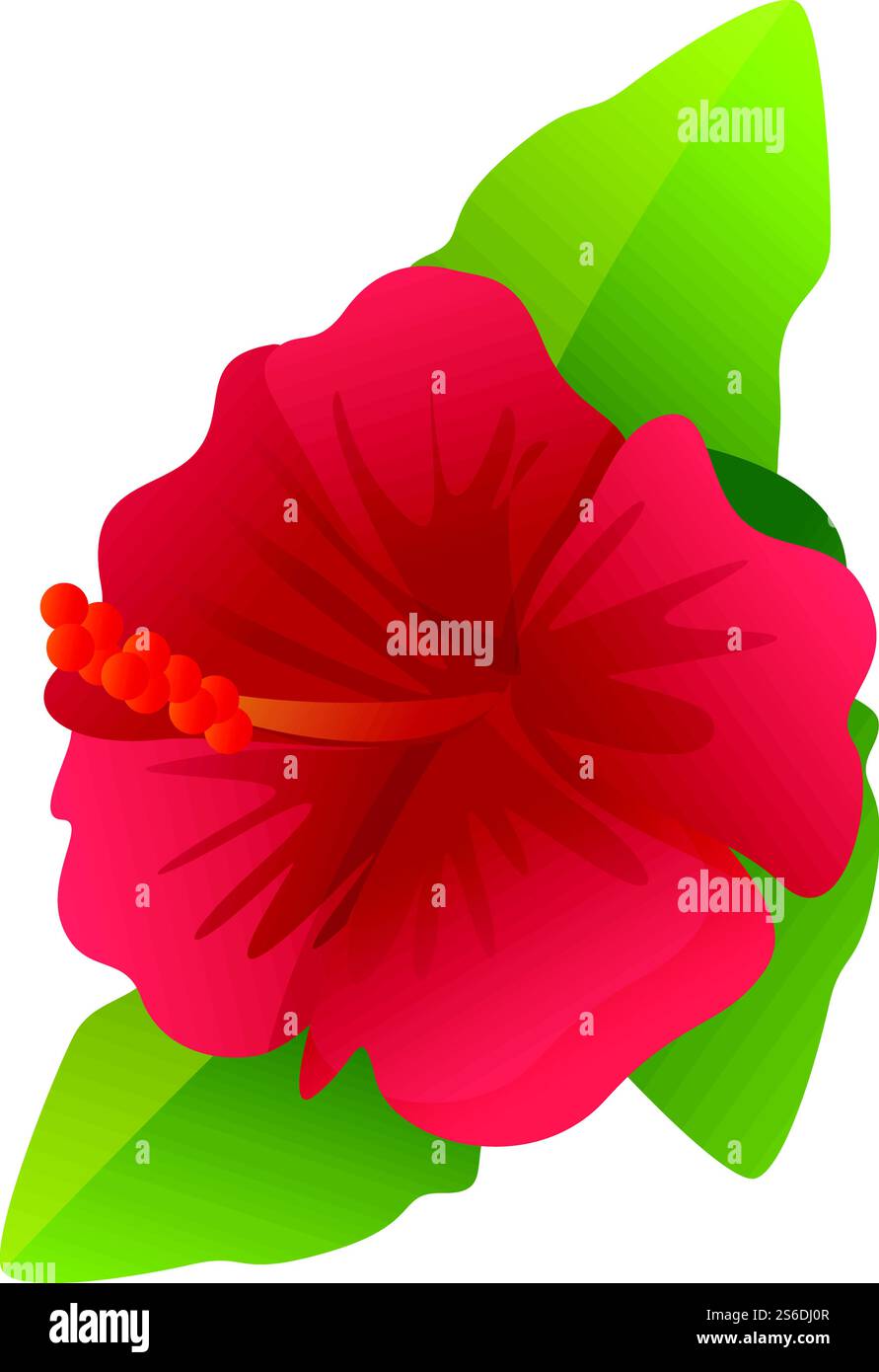 Plant hibiscus icon. Cartoon of plant hibiscus vector icon for web ...