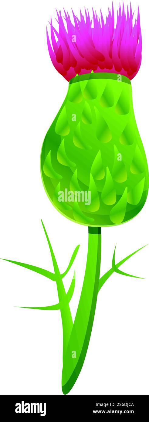 Scottish thistle painting Stock Vector Images - Alamy